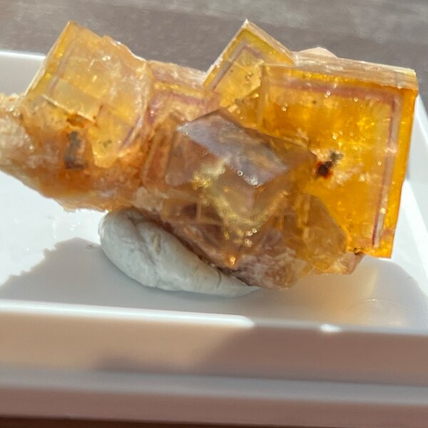 Rock Collection Gift Set | Assortment of Natural Fossils, Crystals ...