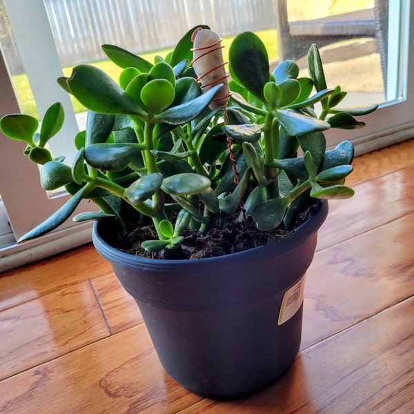 Plant Stake, Plant Décor, Gemstone Plant Stake, Plant Accessory ...