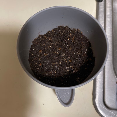 2g Tía Tô Vietnamese/korean Perilla Shiso JEOK SSAM IP Seeds - Etsy