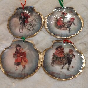 Brown Turkey Wing Seashells Ark Shells Arca Zebra Coastal | Etsy