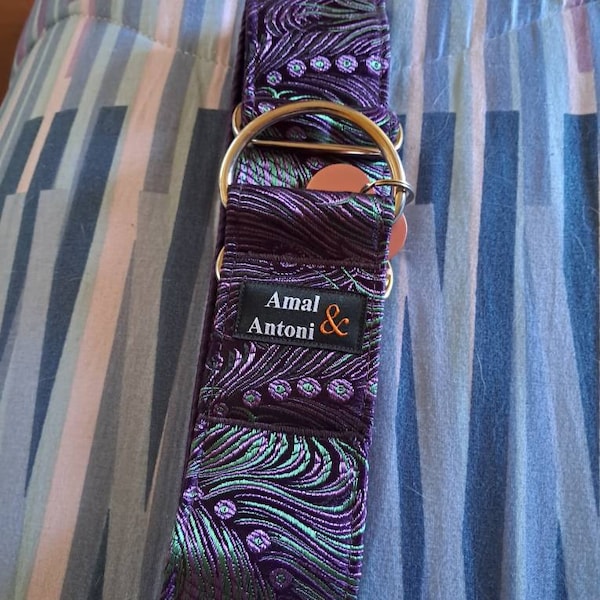 Martingale Collar, Dog Collar, Sighthound Collar, Galgo Collar ...