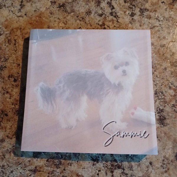 Animals TODDLER LEARNING BINDER - Toddler Printable Busy Book First ...