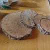 Natural Silver Birch Hardwood Round Log Slices Rustic Green Hard Wood ...
