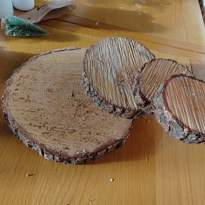 Natural Round Log Slices Rustic Green Wood Slice for Crafts Artists ...