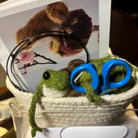 Five Frogs Knitting Kit: Claire Garland Collaboration, DIY Knit Toy ...