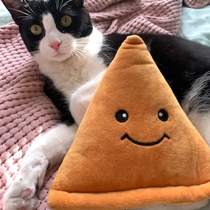 Samosa Plush Chew Toy for Pets - Etsy