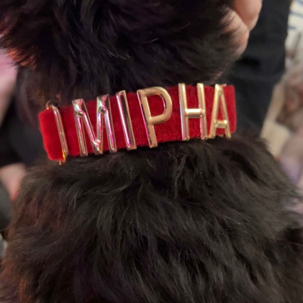 Personalized Dog Collars With Metal Letter Name, Female Dog Collars ...