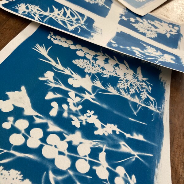 Cyanotype Kit - Create Your Own Botanical Sun Print. - Etsy