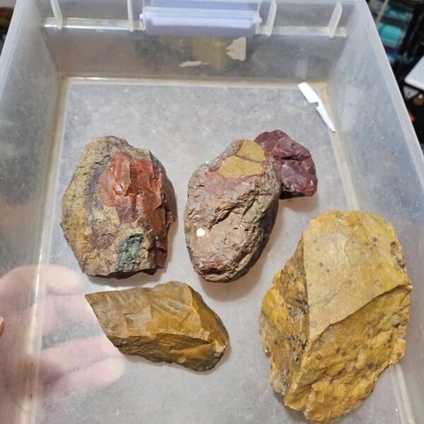 Delightful Freckled Calamity Jasper * - Etsy