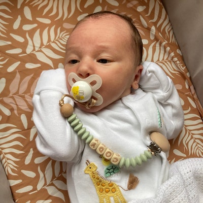 Personalised Dummy Clip Bespoke Packaging Orchard Collection Choice of ...