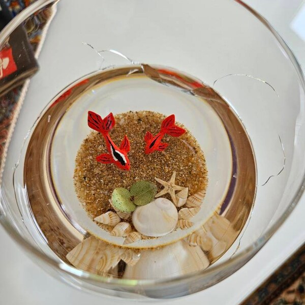 Eternal Red Koi Fish, Resin Fish Pool, Decorative Dish, Boho Style ...