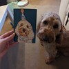 Red/golden Cockapoo Christmas Card - Etsy