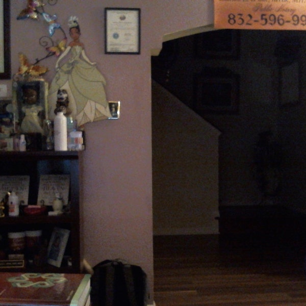 One (1) Tiana Princess Character Prop - Princess Frog Themed Party ...