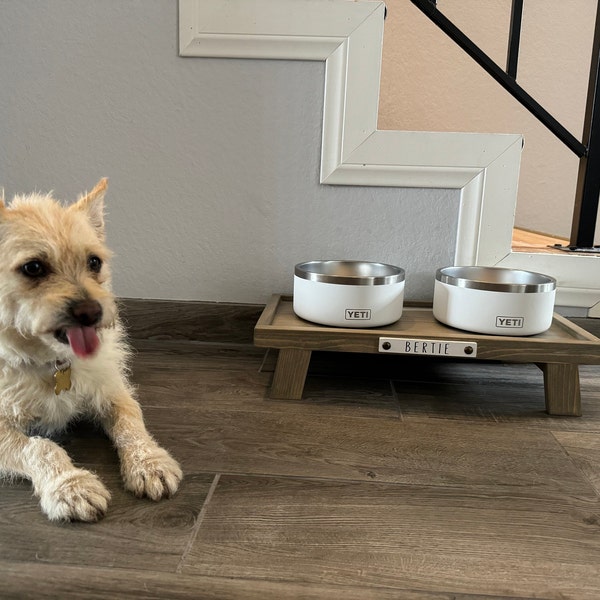 Modern Elevated Dog Feeder | Pretty Girl Dog Bowl Stand | Personalized ...