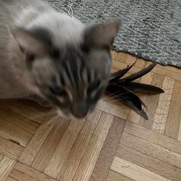 Old Rusty Vintage Enamel Coffee Cup/mug - Etsy