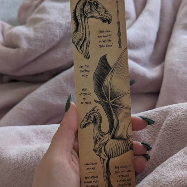 Sticker "toothless / Night Fury" | Various Sizes | Hand-drawn, Die Cut ...