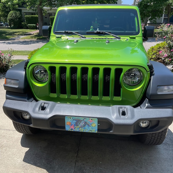 Whale License Plate, Whale,colorful Whale License Plate,animal License ...