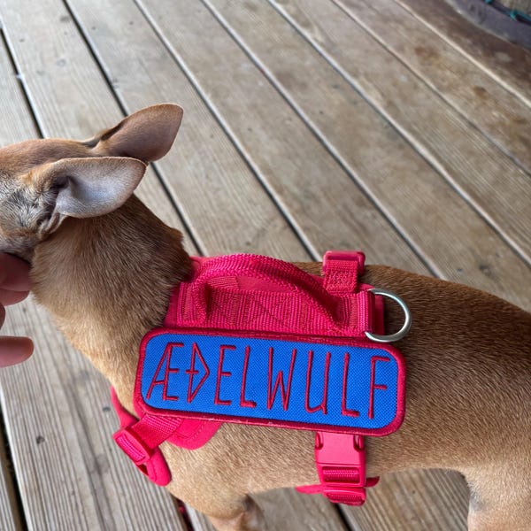 Embroidered Dog Patch | Baller | Tennis Ball - Etsy