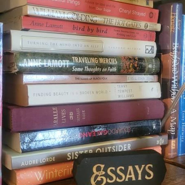 Book Genre Signs-gifts for Book Lovers- Book Shelf Decor- Categories ...