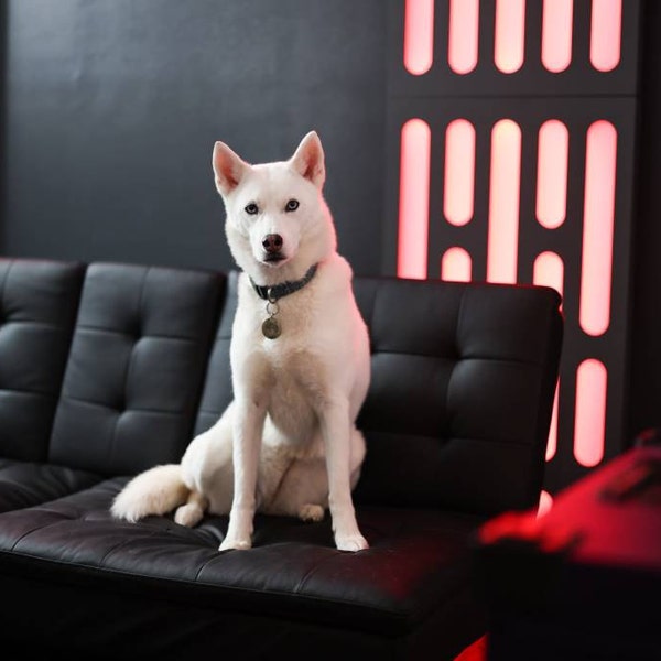 Full Size Death Star Panel, Single, Galactic Fab - Etsy