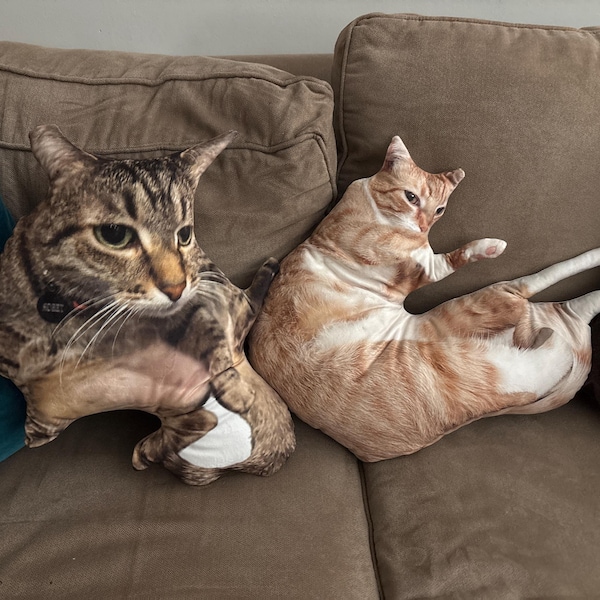 Hot Ugly Cat/dog Zany Pillow | Custom Pet 3D Shape Pillow ...