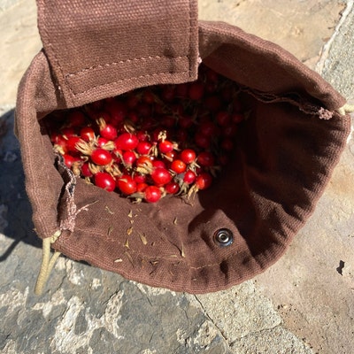 Foraging Kit, Foraging Bag, Bushcraft Bag, Mushroom Hunting, Mushroom ...