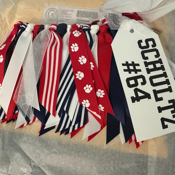 Custom Ribbon Garland: Team Spirit Banner, Personalized School Colors ...