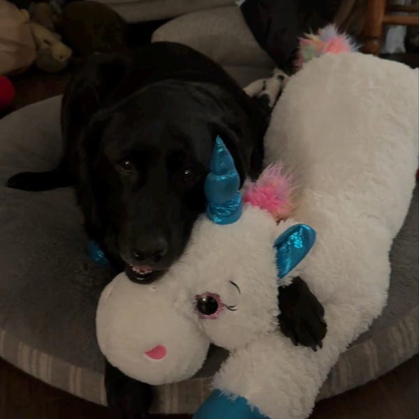 Navy Slant Phone Charger Letter Set | Personalized Charger | iPhone ...