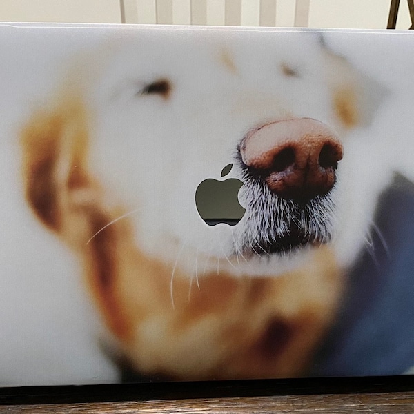 Golden Retriever Design MacBook Cover for Pro 16 M1 A2485 Cute Dog ...
