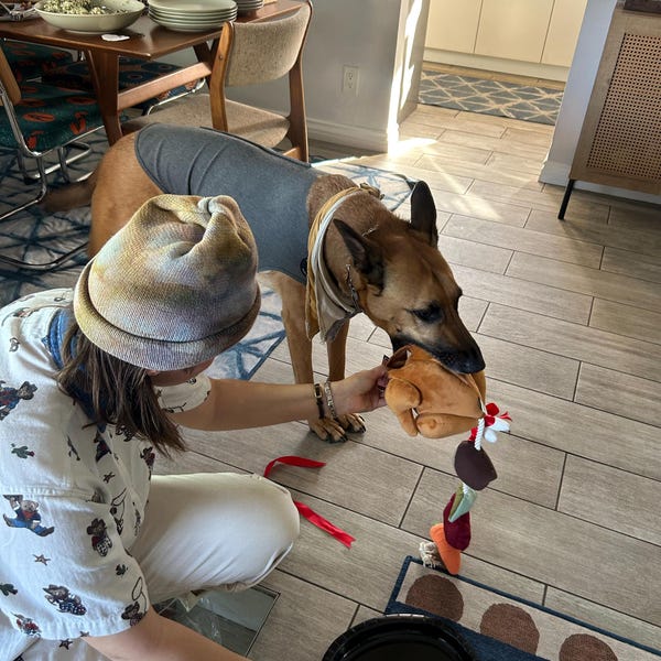 Cupcake Snuffle Mat Dog Toy, Pet Toy, Interactive, Mental Exercise, Pet ...