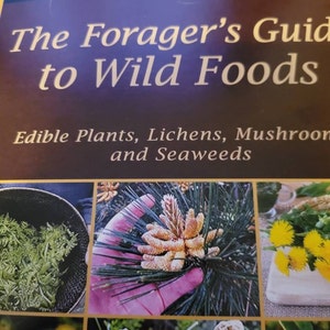 The Foragers Guide to Wild Foods - Etsy