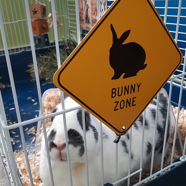 Rex Bunny Zone; Pet Rabbit Novelty Sign, Rex Bunny Sign, Rex Rabbit ...