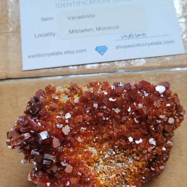 Vintage 6 1800s Antique Corbin Glass Doornob and Rusted Steel Keyhole ...