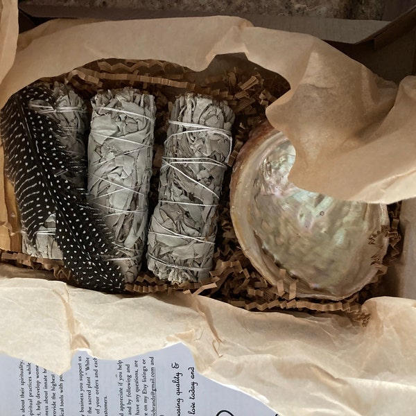 White Sage Smudge Kit Mini W/ Detailed Instructions, Abalone Shell and ...