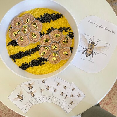 Honey Bee Bundle Printable Digital Download - Etsy