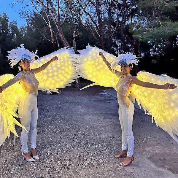 Large Wings for Dance, Movable Wings, Stage Wings, Wings for Carnivals ...