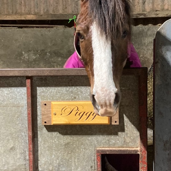 Horse Name Plate Stable Door Sign Plaque (vivaldi Font & Dressage Logo ...