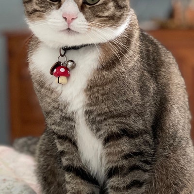 Cat Bells Special Character Jingle Bells Cat Collar Bells Extra Loud ...