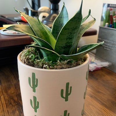 Personalized Name Definition Planter Pot Custom Name Definition Pot ...