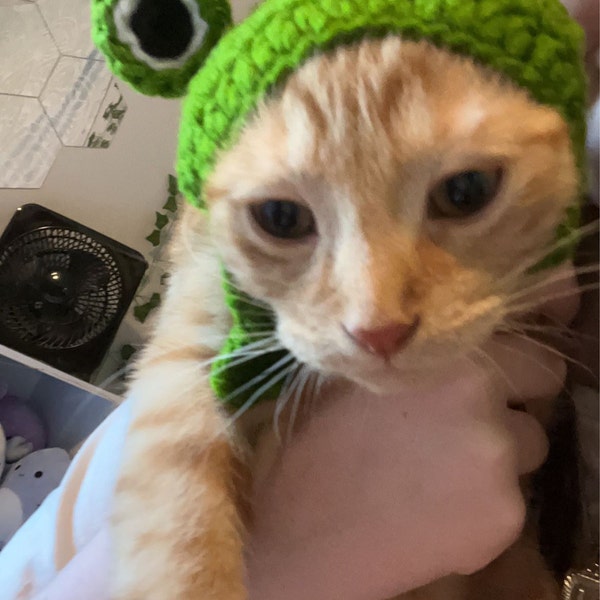 Green Knitted Yarn Frog Hat for Cat or Samll Animal Small and Medium ...