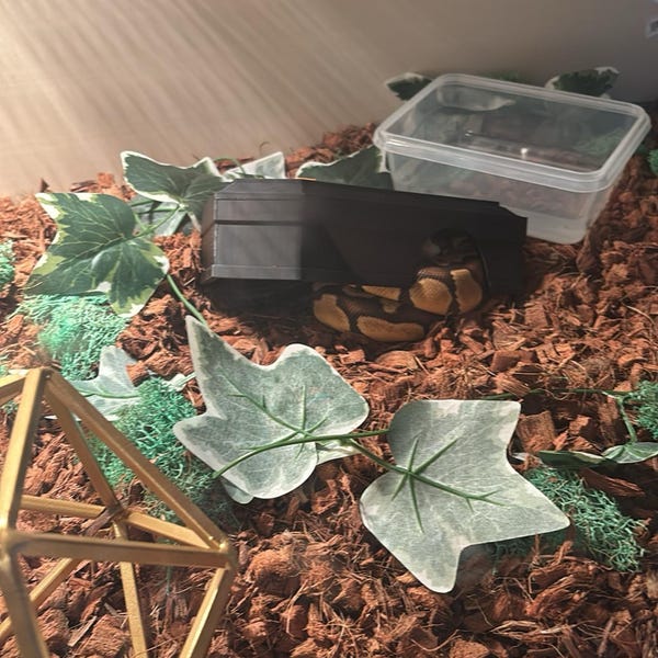 3d Printed Gothic Coffin Snake Hide | Unique Terrarium Accessory - Etsy
