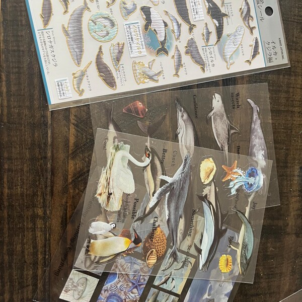 Kamio ADULT VISUAL DICTIONARY Stickers, Otter Seal Sea Lion Stickers ...