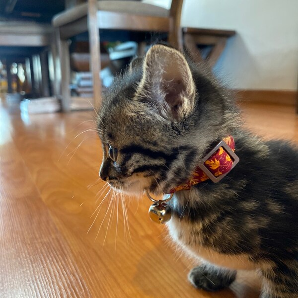 Autumn Cat Collar - Fabric Kitten Collar With Fall Leaves - Orange and ...