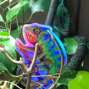 Colorful Rainbow Panther Chameleon Psychedelic Lizard Hippie | Etsy
