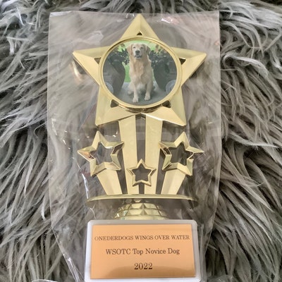 Customized TOP DOG Award / Prestige Dog Trophy, Free Wording ...