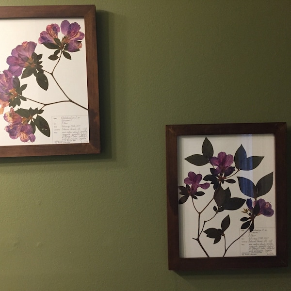 Azalea Print; Pressed Flower Wall Art Plant Print Purple Flower Decor ...