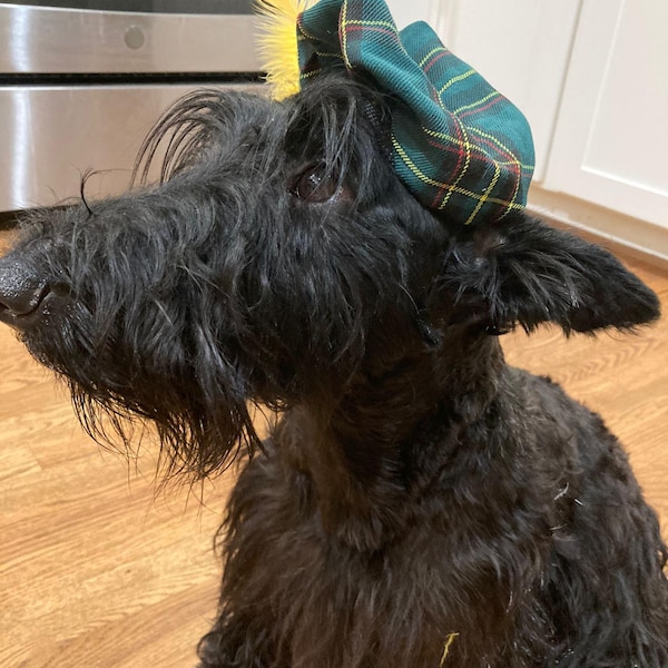 William Wallace Dog Kilt, Medieval Kilt, Ancient Dog Kilt, Tartan Kilt ...