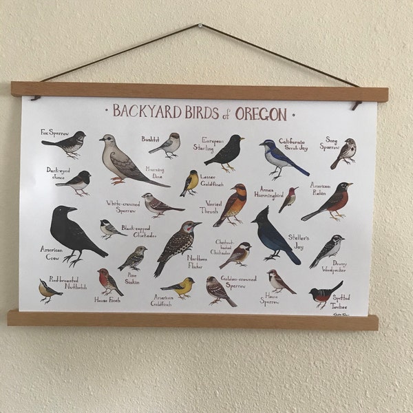 Oregon Backyard Birds Field Guide Art Print / Watercolor Painting Print ...