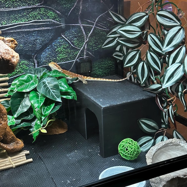 Aquarium Corner Cave Underground Viewing Hide Kuhli Loach Dojo Loach ...