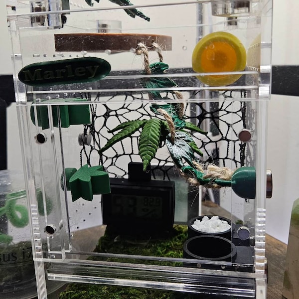 3D Printed JC Original Magnetic Coffin Jumping Spider Hide - Etsy